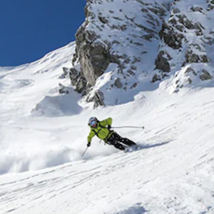 Alta Ski Area Resort Guide - Alta Chalets