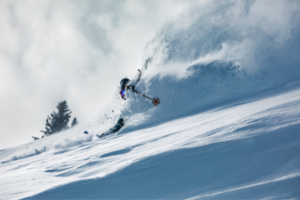 Alta Ski Area Resort Guide - Alta Chalets